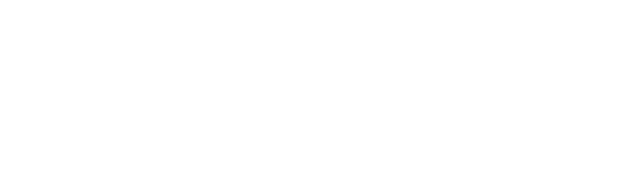 Vision 1-4 - Cartrack | South Africa